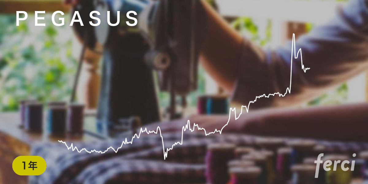 PEGASUS (6262) の株価・チャート・予想・掲示板・購入 | ferci by マネックス証券